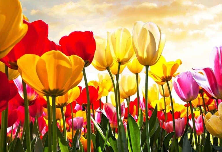 The Bountiful Life – Ms. Rita's Minute
