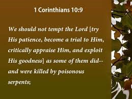 Crucial Observations – Ms. Rita's Minute